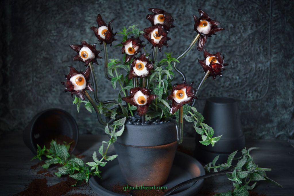 Venus ‘Eye’ Trap – Ghoul at Heart